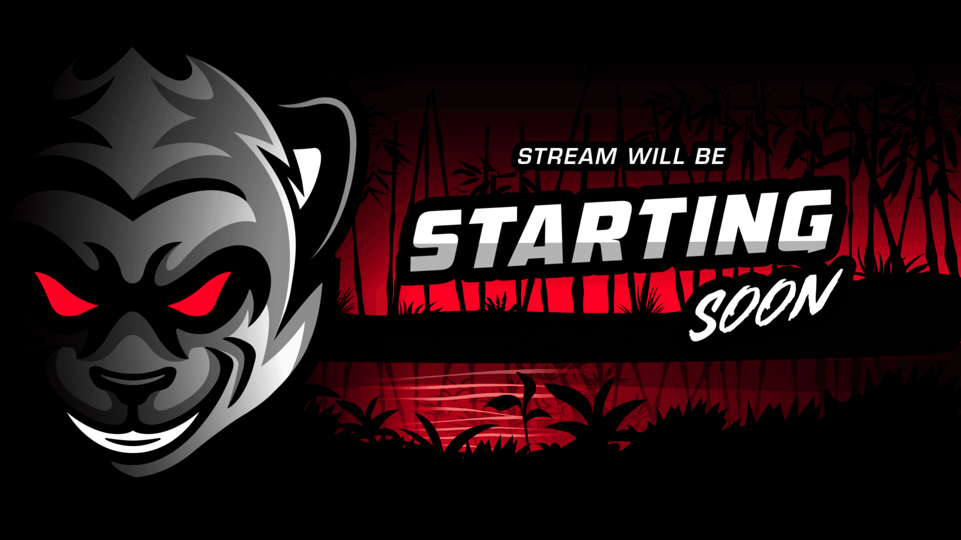 Starting Soon Screen - Custom Designs