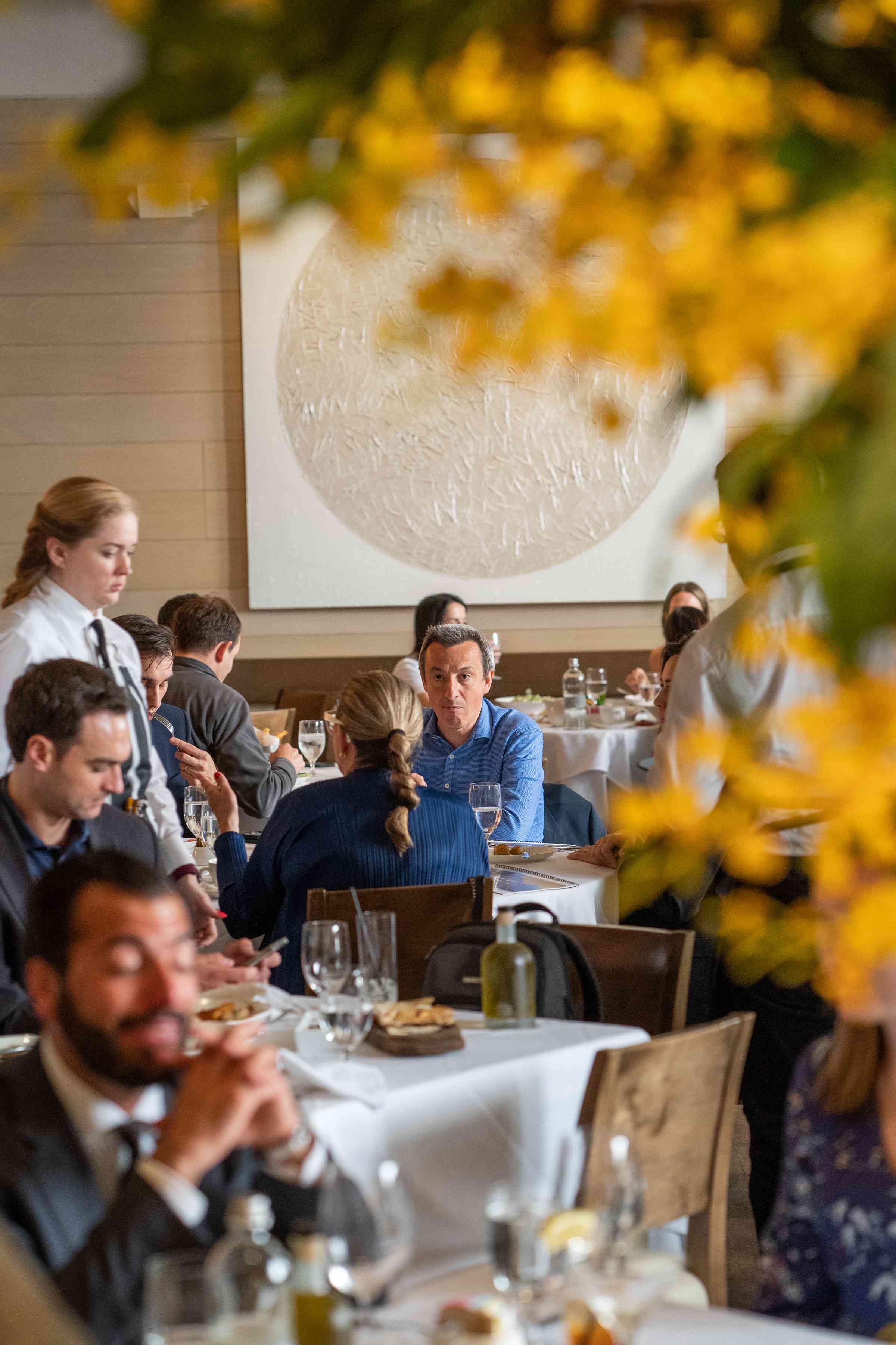 The Avra Group | Avra Madison