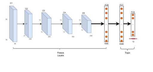 Transfer Learning: Harnessing the Power of Pre-Trained Models for ...