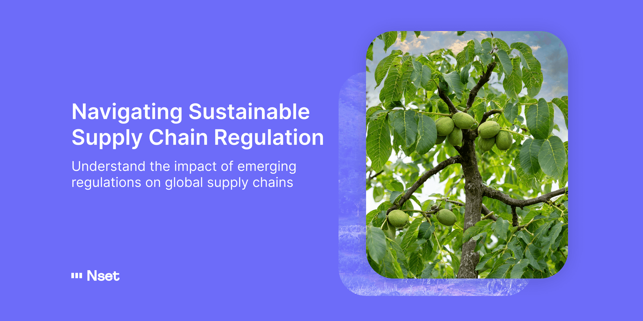 Nset Navigating Sustainable Supply Chain Regulation