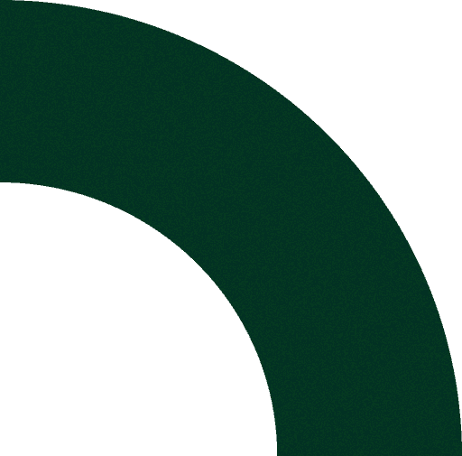 Solayer | Hardware-accelerated SVM