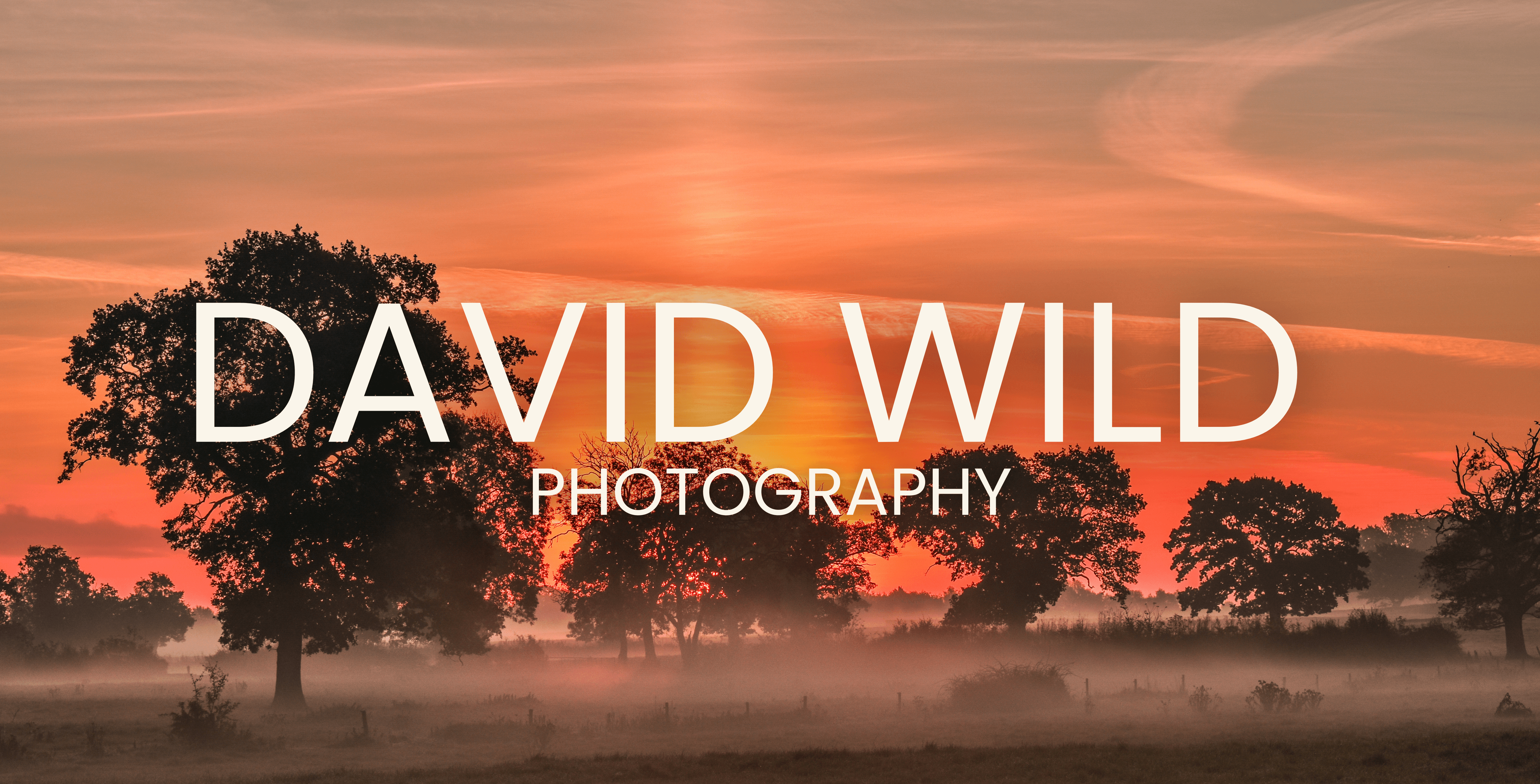 David Wild