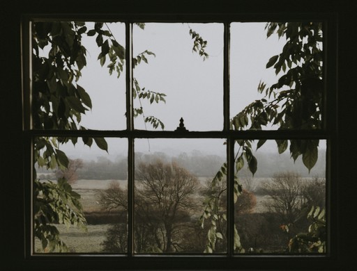 View From my window