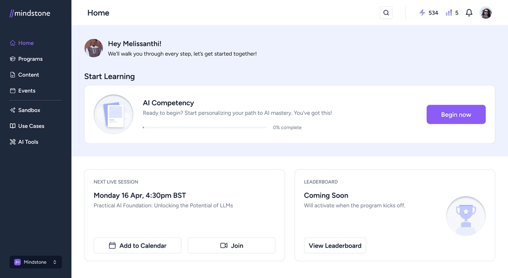 AI Competency Program