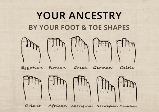 Feet Palmistry: Personality Traits from Your Foot Shape | Palmyst
