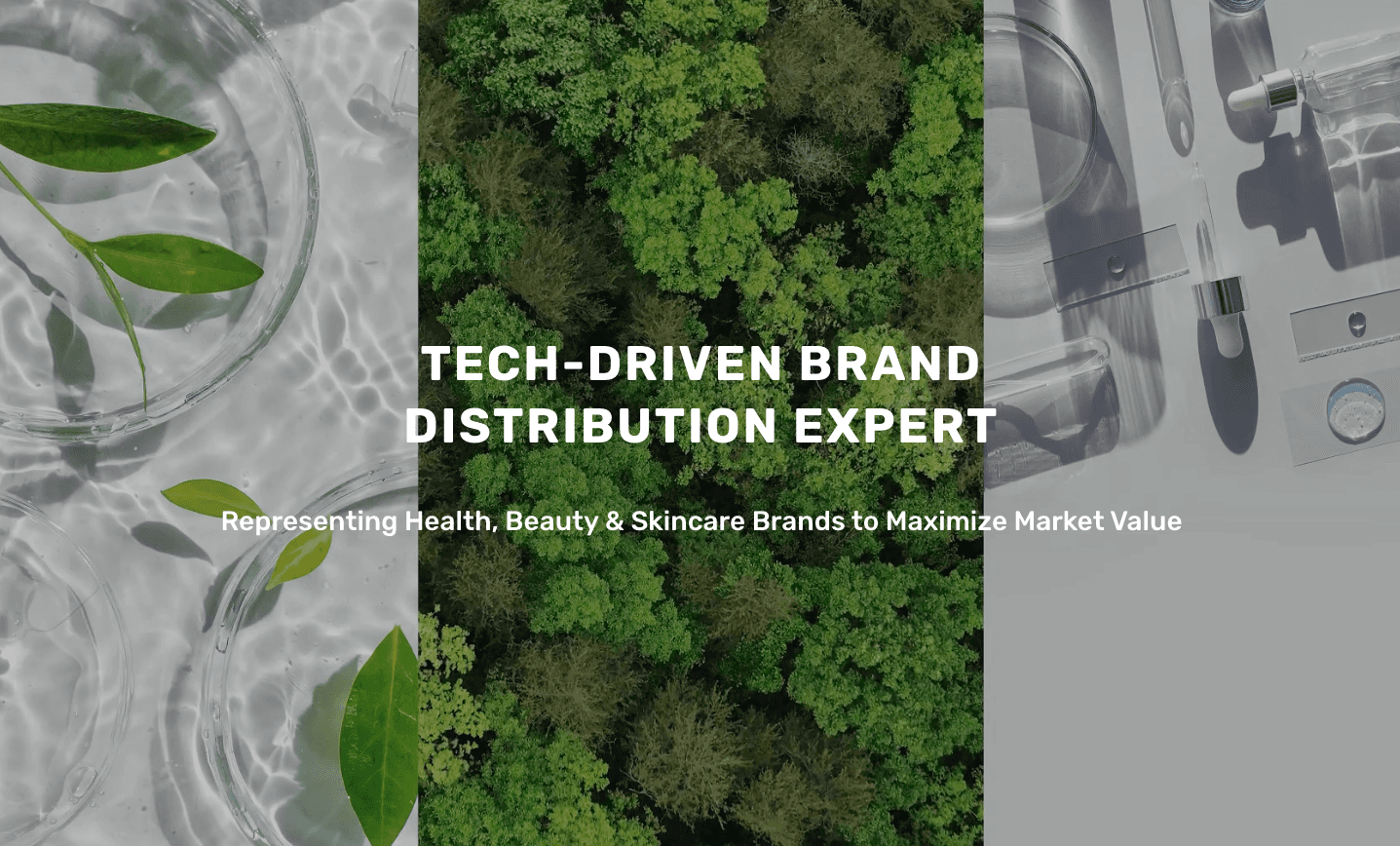 雨林新零售 Rainforest Retail | 專業品牌代理服務