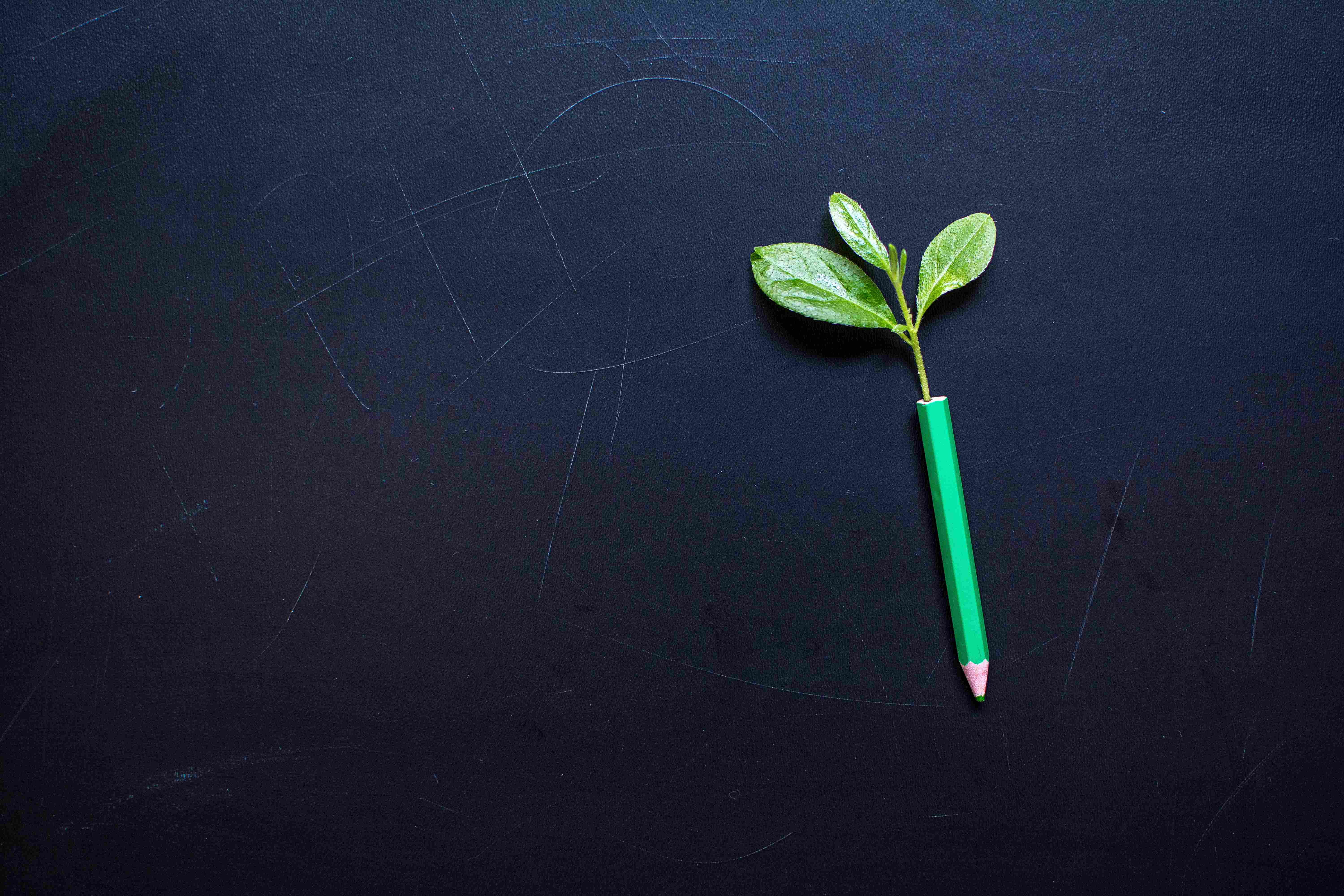 Tom Copeland | Early Childhood Webinars