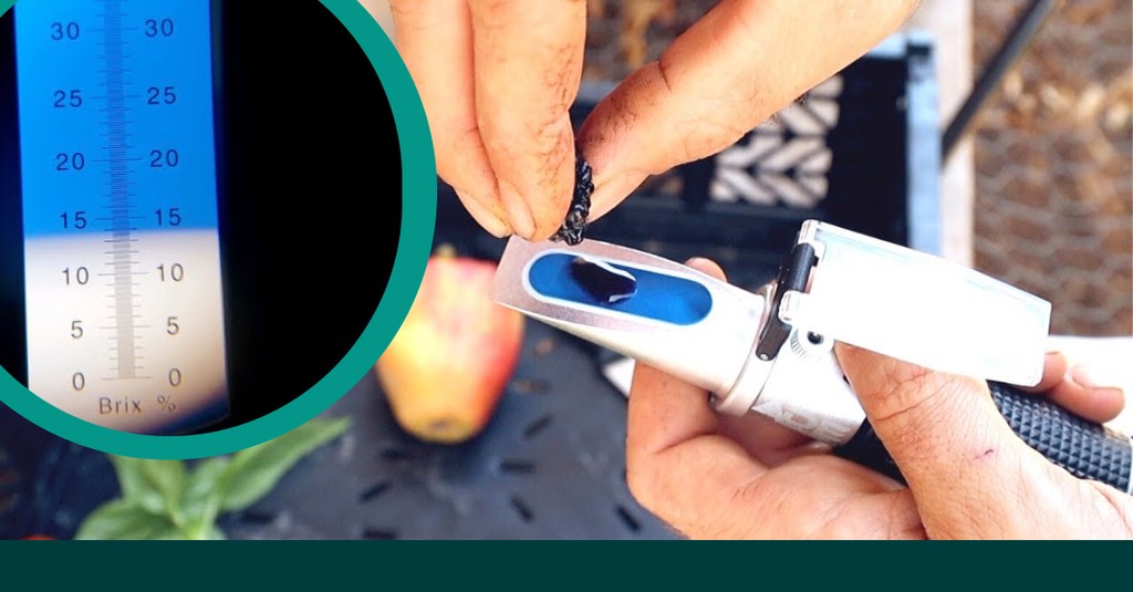 Elevating Crop Health with Brix Measurements: The Sweet Science of ...