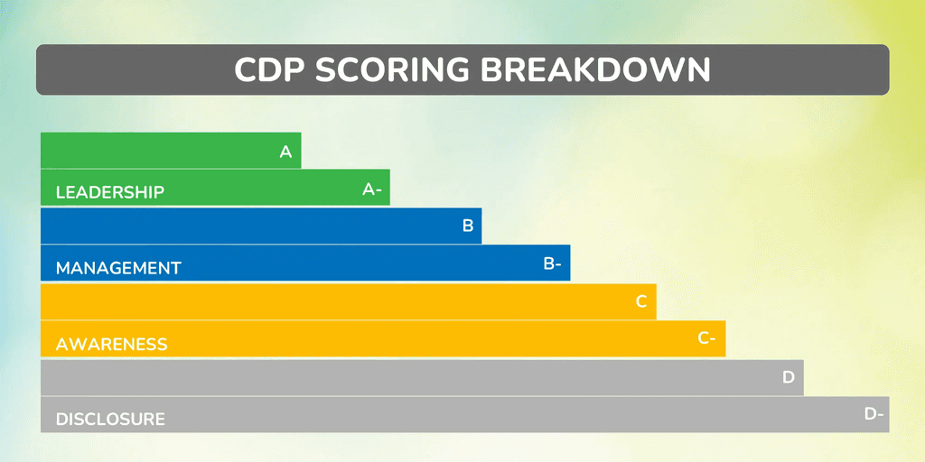 Understanding CDP: A Comprehensive Guide to the Carbon Disclosure ...