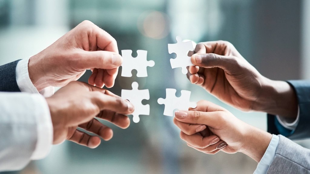 MOCHA Project Management: A Role Clarification Model