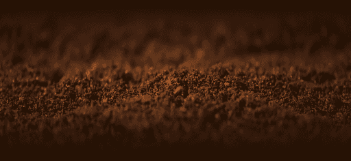 The Earth Rover Program