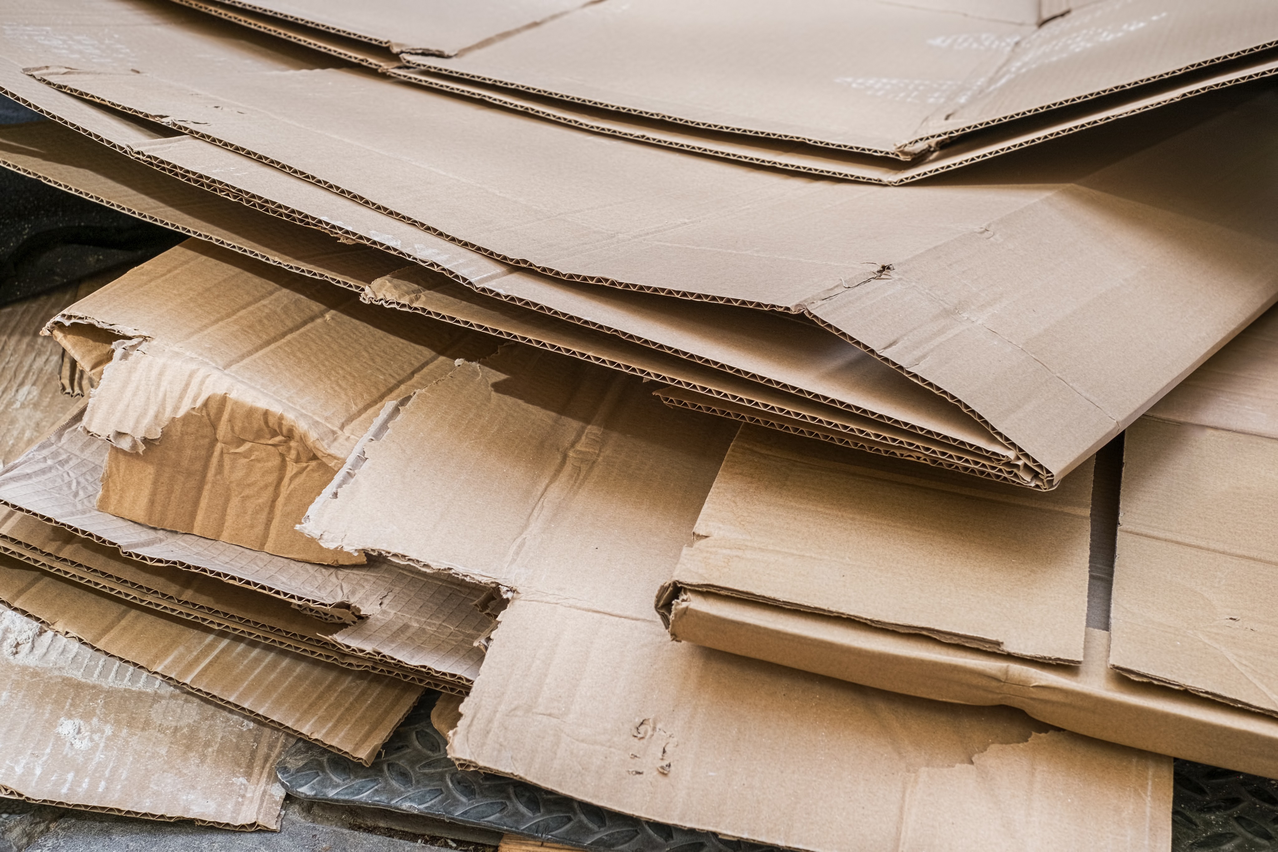 Recycling for Hair Salons, Cafes and Small Business | Waste Free Systems