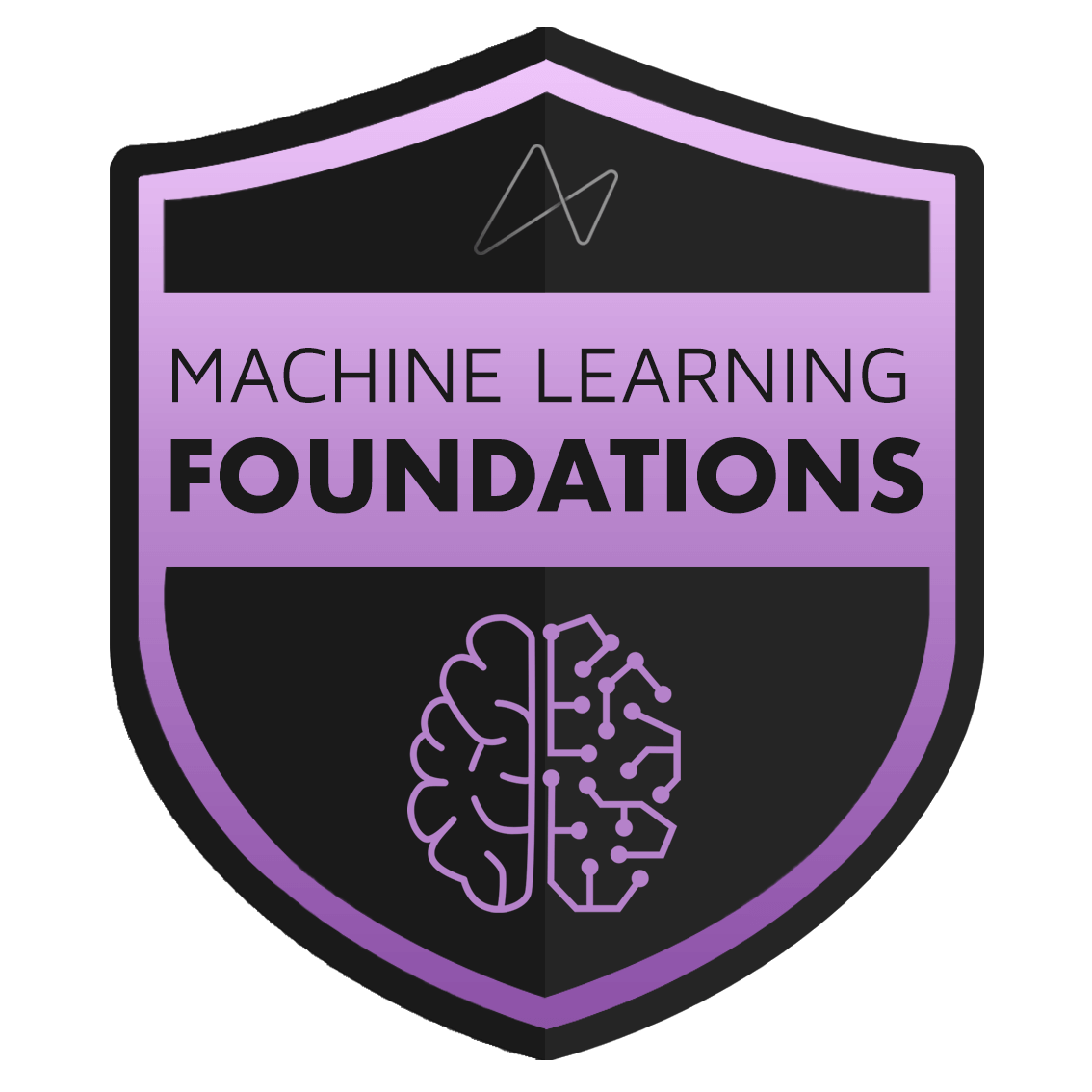 Data Career & Skill Learning Paths | Maven Analytics
