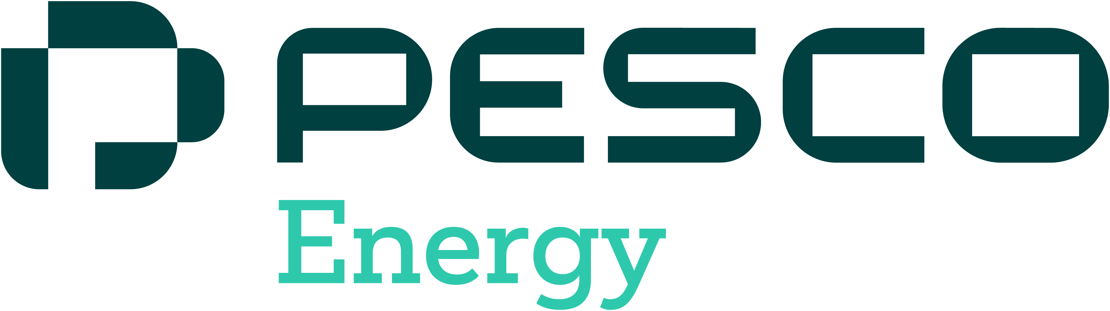 PESCO Holding