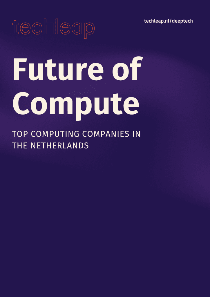 Scaling Programmes | Techleap