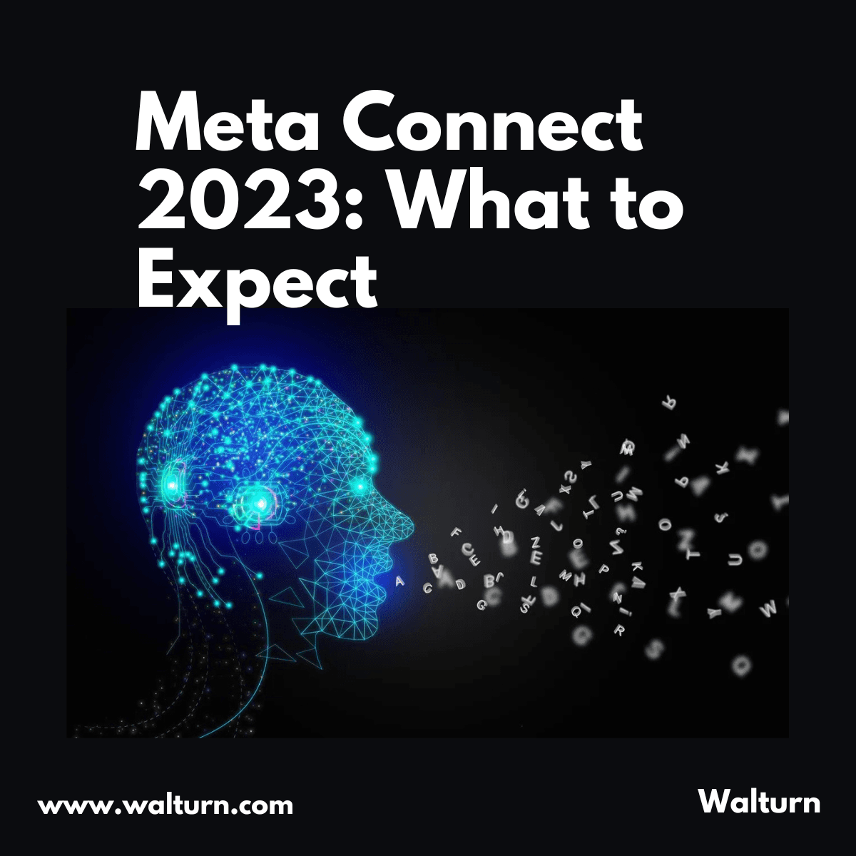 Meta Connect 2023: What to Expect - Walturn Insight