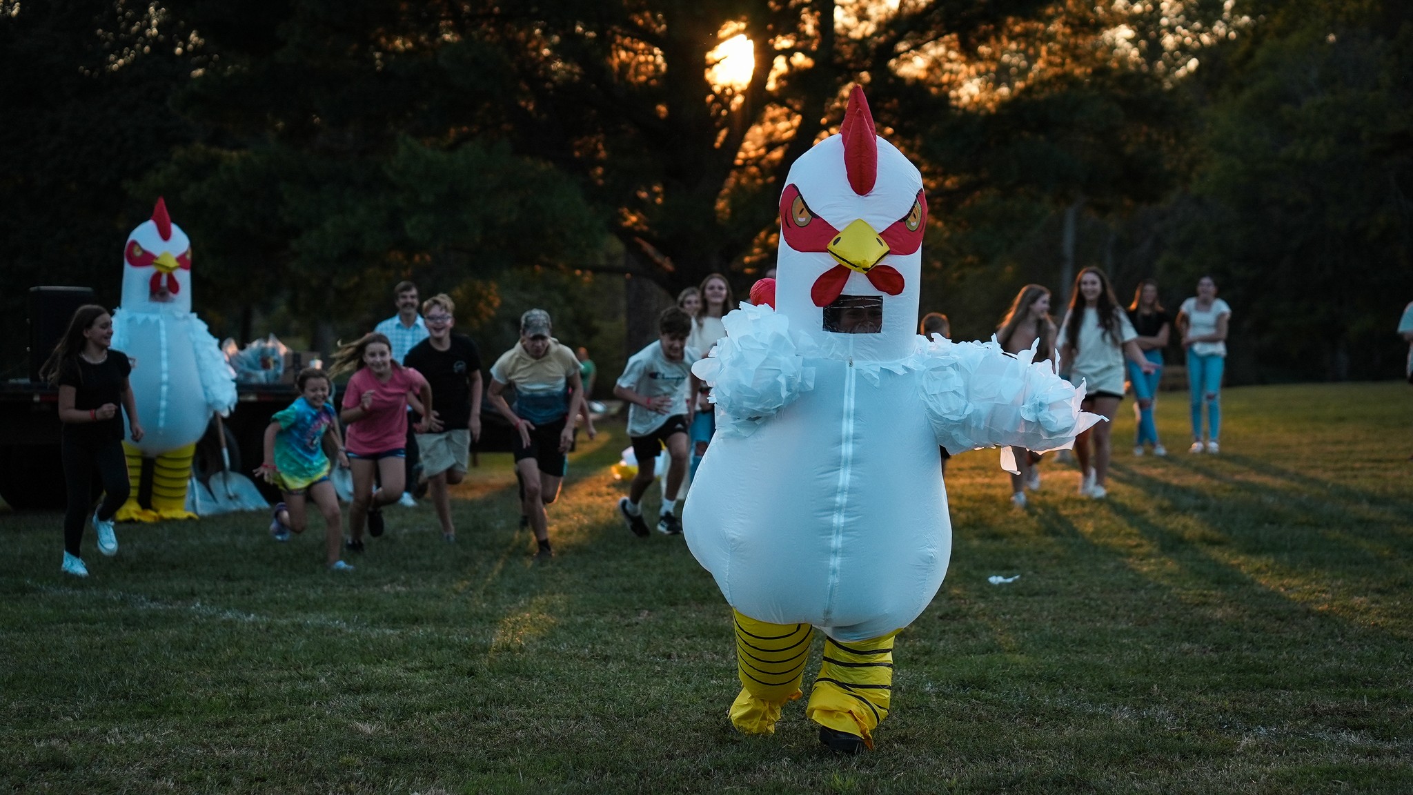 Skitts Mountain Farms in Cleveland, GA