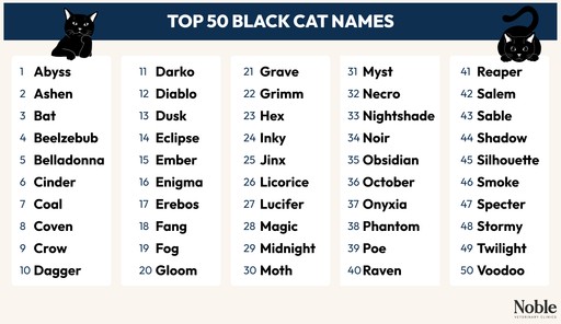 300 Best Cat Names: Choose the Perfect One for Your Pet!
