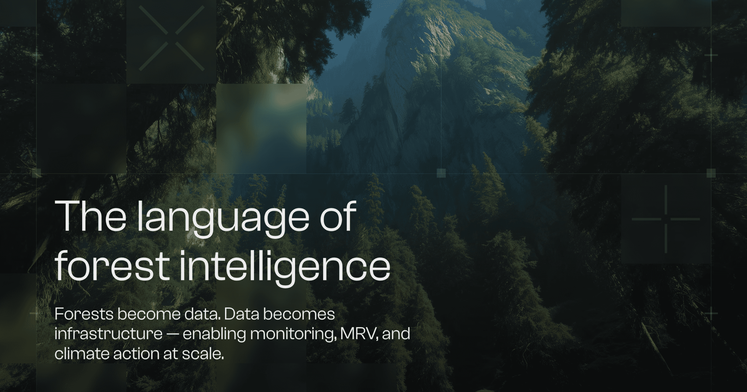 ForestLayer - The language of forest intelligence