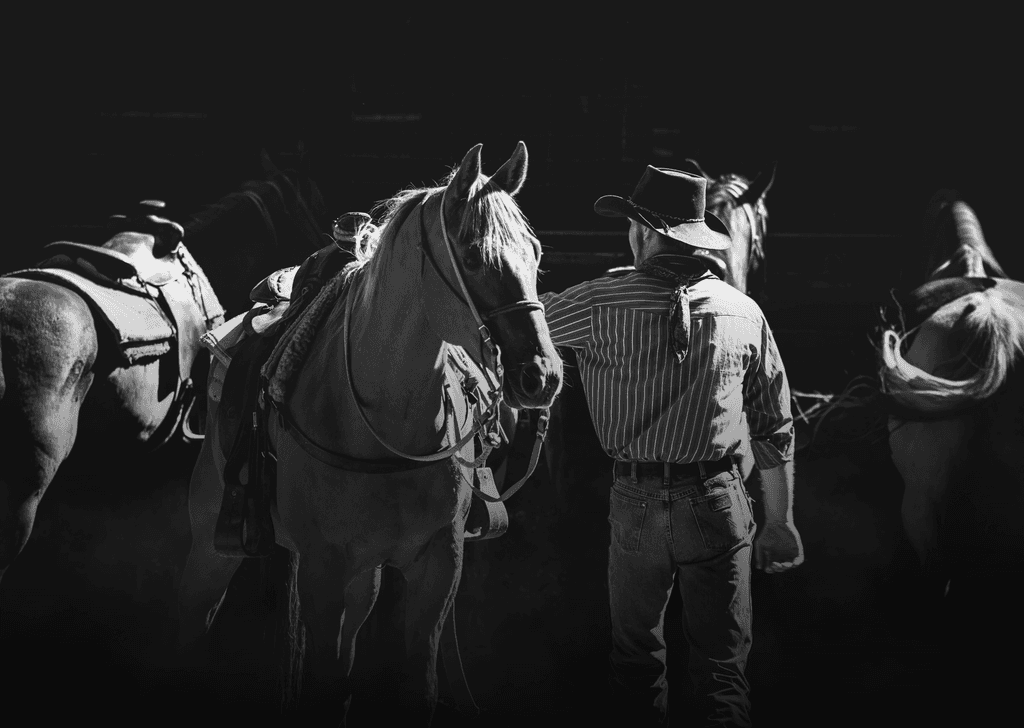 Bridle - For the Modern Equestrian