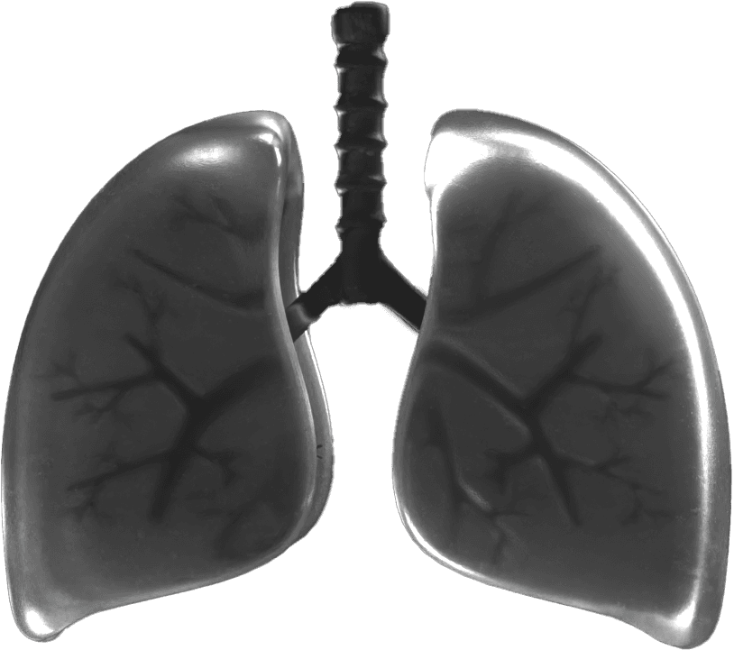 Tract Bio: Stem Cell Delivery Platform