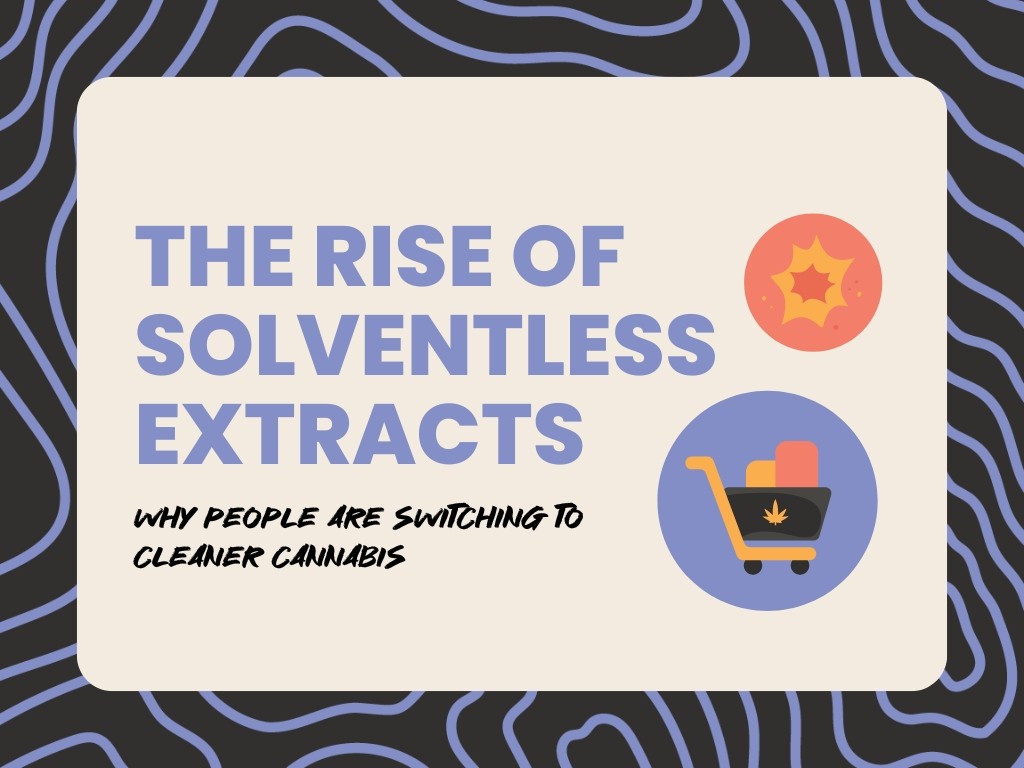 The Rise of Solventless Extracts: Why Consumers Are Switching to ...
