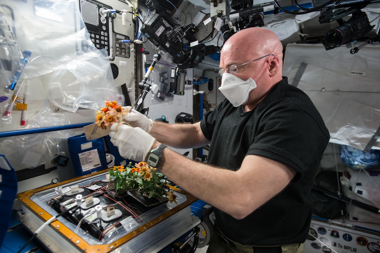 Galactic Gastronomy: The Science of Producing Food Beyond Earth