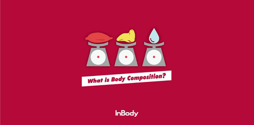 Body Composition 101: The Beginner's Guide | InBody USA