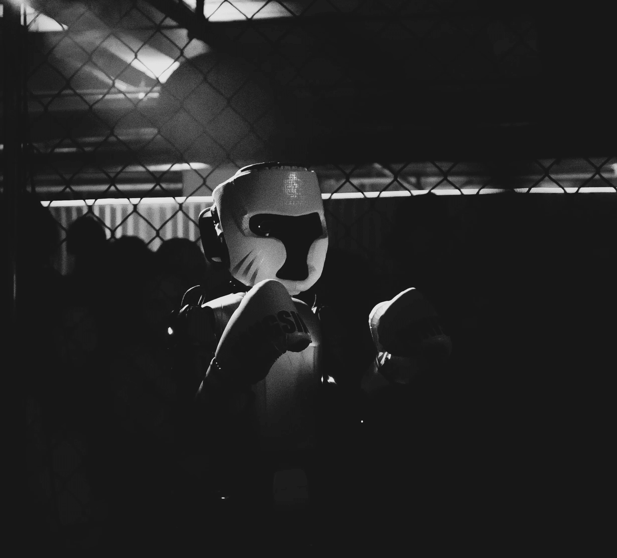 UFB: Ultimate Fighting Bots