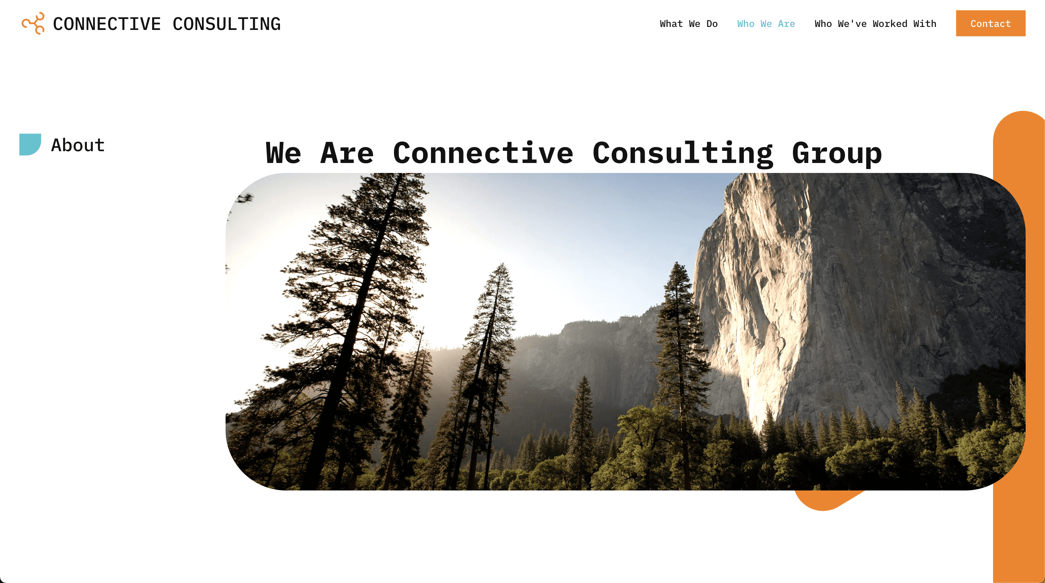 Connective Consulting - Who We Are