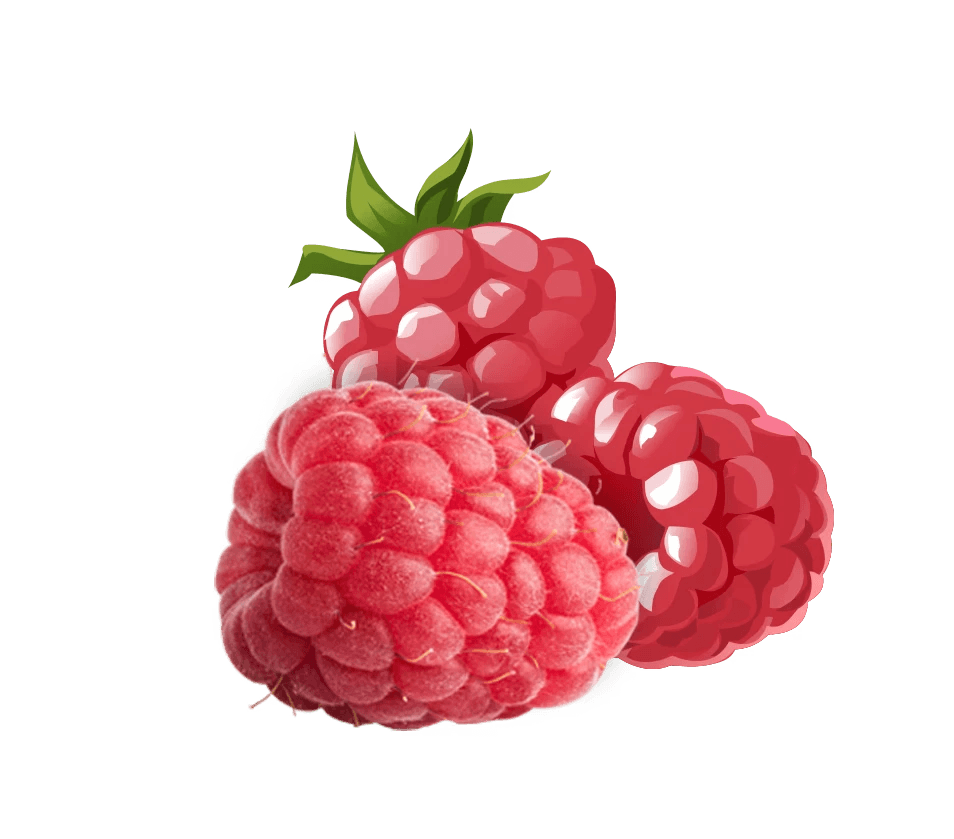 8 Berries - The World of Berries