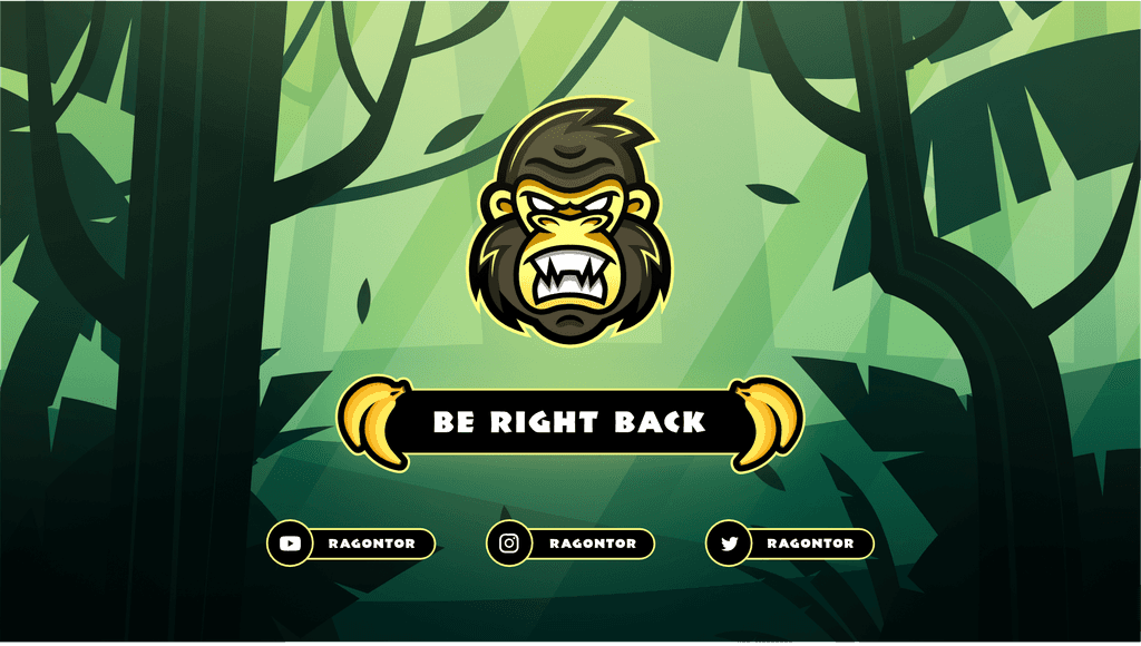 Twitch BRB Screen - Custom Designs