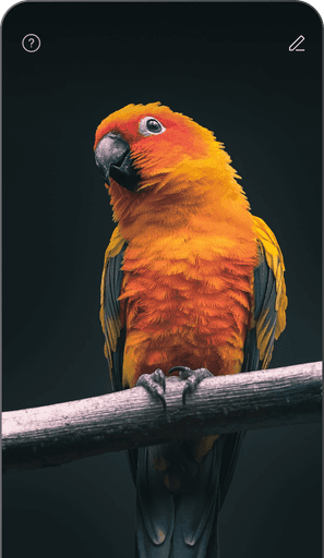 Superhuman | The most productive email app ever made