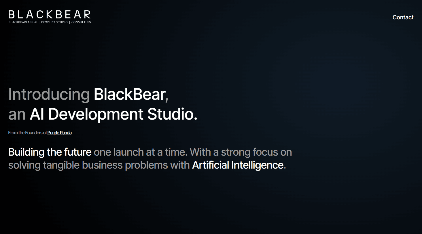 Open Source LLMs - History & 2023 Report - BlackBear Labs