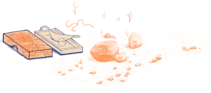 Whereby Meetings Pricing | Simple Video Conferencing Plans